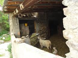 No room in the kataluma « The Gospel According to the Romans